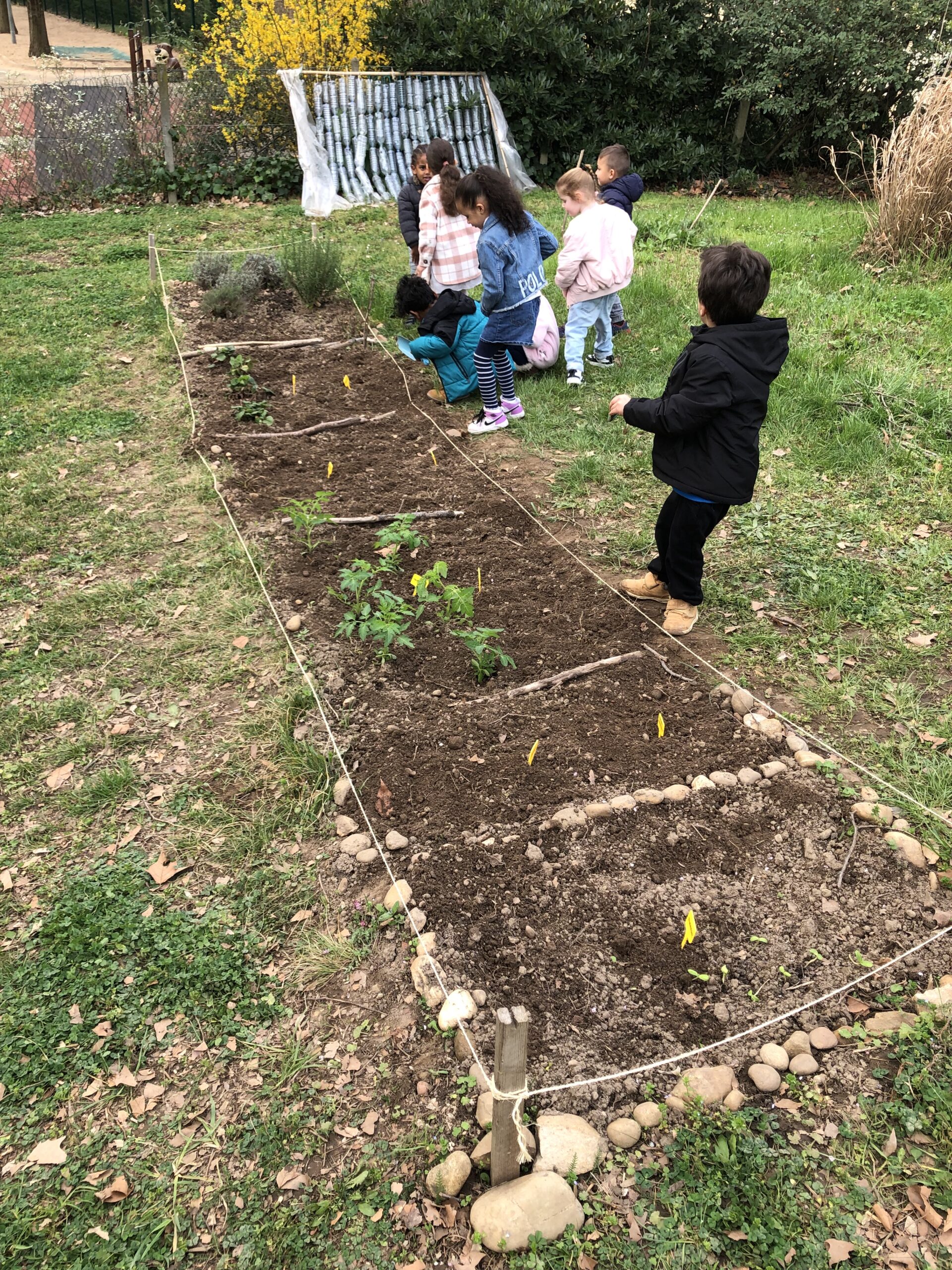 PLANTATIONS AU JARDIN (suite)👨🏽‍🌾 » Classe PS-MS Géraldine MORO